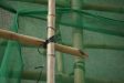 Menengok Keindahan Instalasi Scaffolding Bambu di Hongkong
